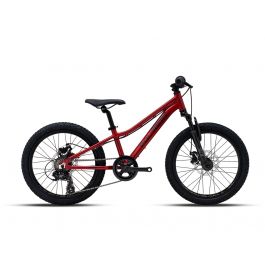 Buy Polygon Relic 20 2025 Kids Mountain Bike | RODALINK MALAYSIA