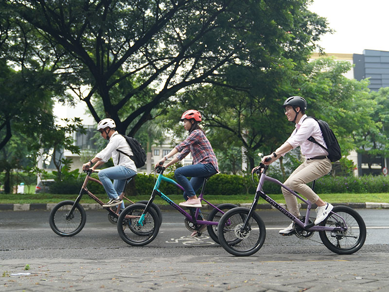 Mini Velo Bike Recommendation: Find the Perfect One | RODALINK SINGAPORE