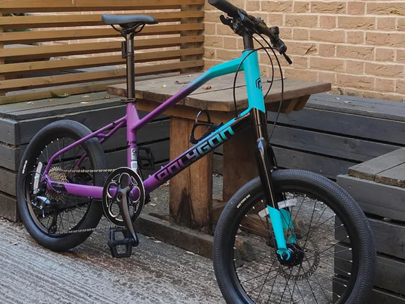 Mini Velo Bike Recommendation: Find the Perfect One | RODALINK SINGAPORE