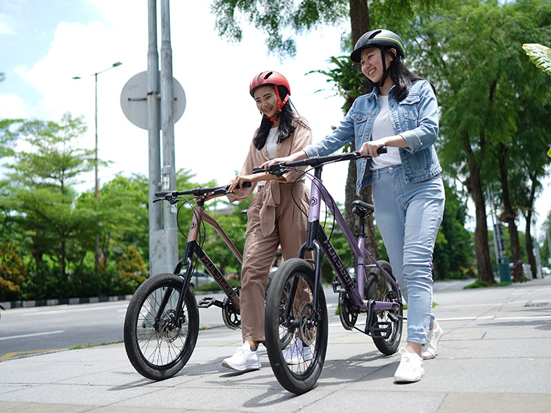Mini Velo Bike Recommendation: Find the Perfect One | RODALINK SINGAPORE