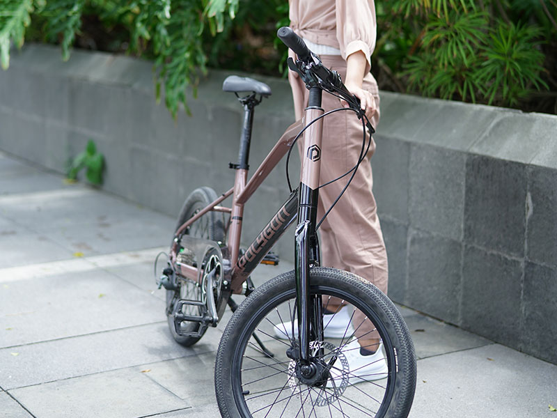 Why You Should Have A Mini Velo? | RODALINK MALAYSIA