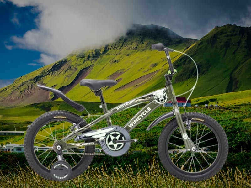 Rekomendasi Sepeda Anak Roda Empat 2024 | RODALINK INDONESIA