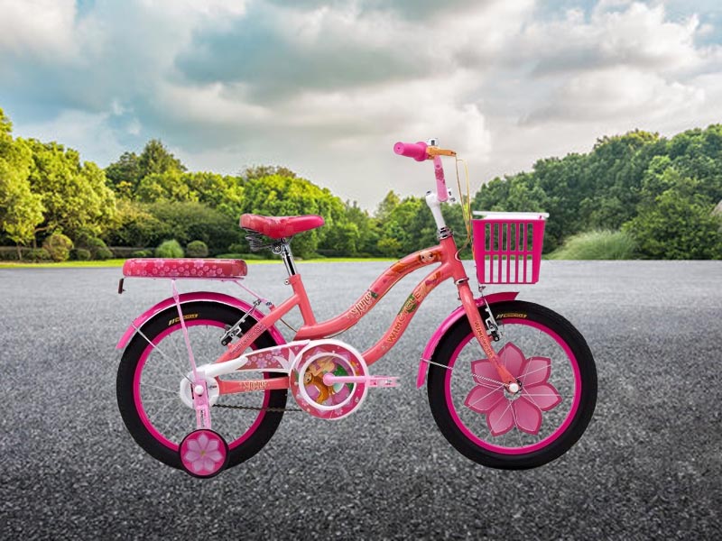Rekomendasi Sepeda Anak Roda Empat 2024 | RODALINK INDONESIA