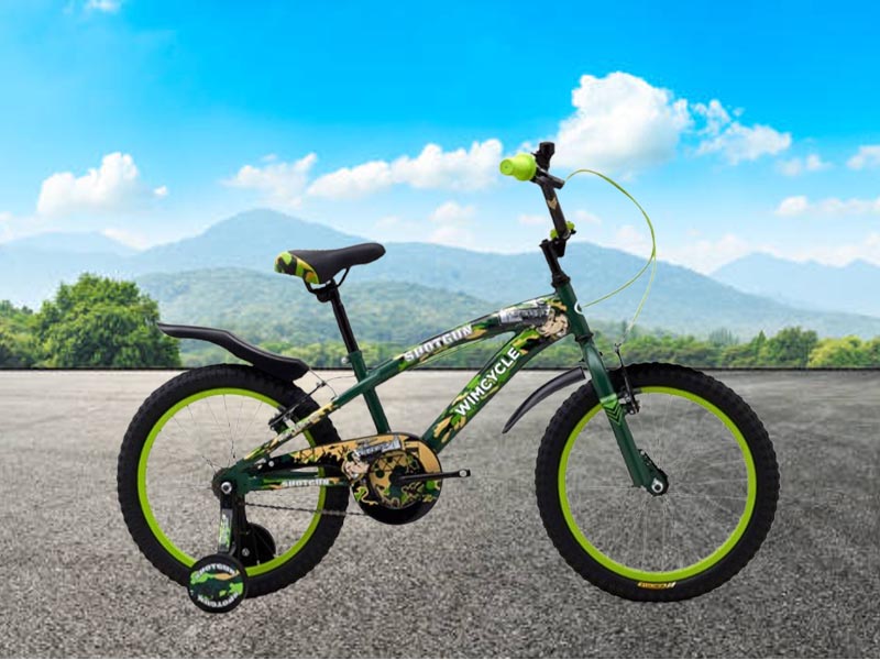 Rekomendasi Sepeda Anak Roda Empat 2024 | RODALINK INDONESIA