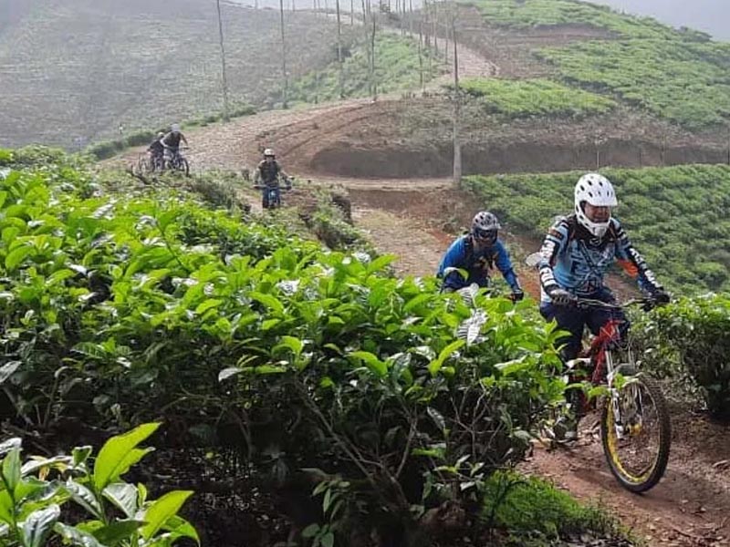 Kenalan dengan Sepeda Gunung XC Polygon | RODALINK INDONESIA