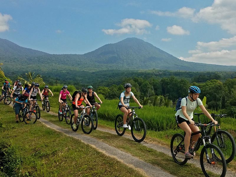 Kenalan dengan Sepeda Gunung XC Polygon | RODALINK INDONESIA