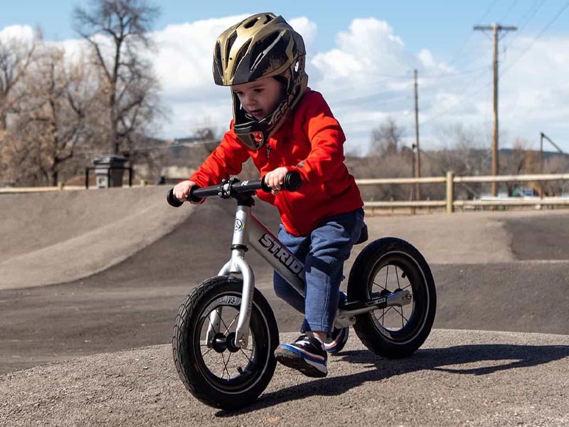 Are Push Bikes Best for Kids' First Ride | RODALINK MALAYSIA