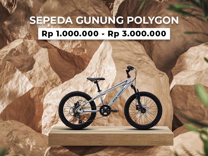 Temukan Harga Sepeda Gunung Polygon Terbaik | Rodalink Indonesia