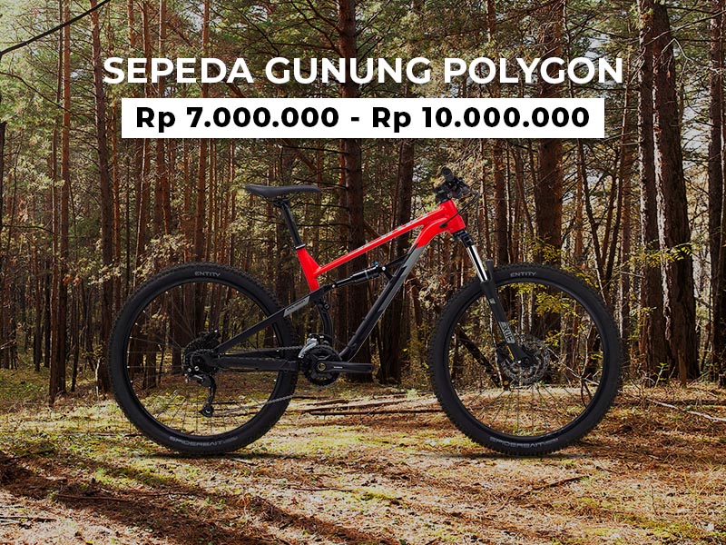 Temukan Harga Sepeda Gunung Polygon Terbaik | Rodalink Indonesia