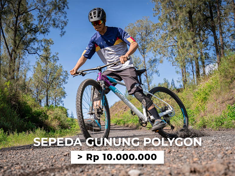 Temukan Harga Sepeda Gunung Polygon Terbaik | Rodalink Indonesia