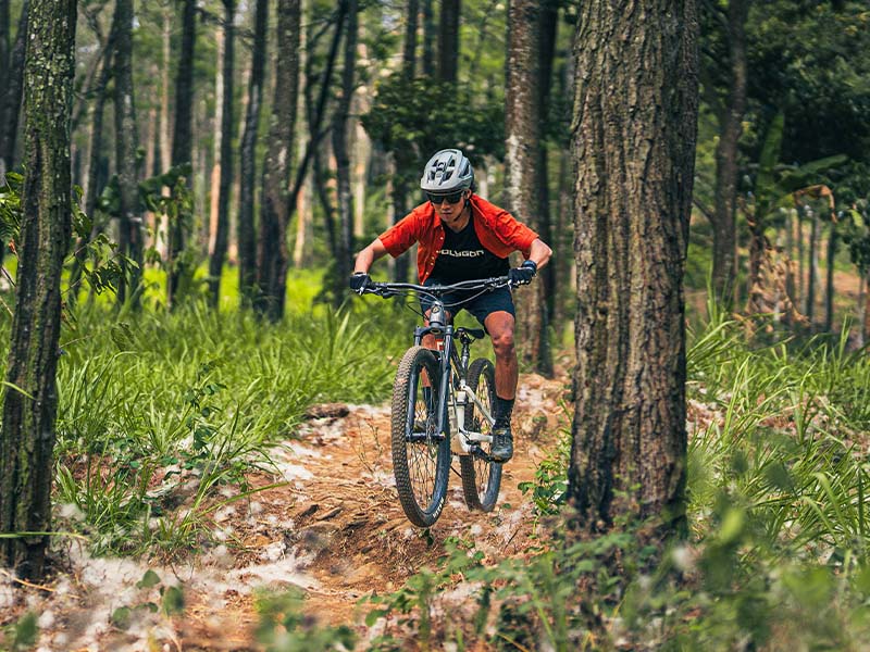 Rekomendasi Sepeda Gunung Trail 2025 | RODALINK INDONESIA