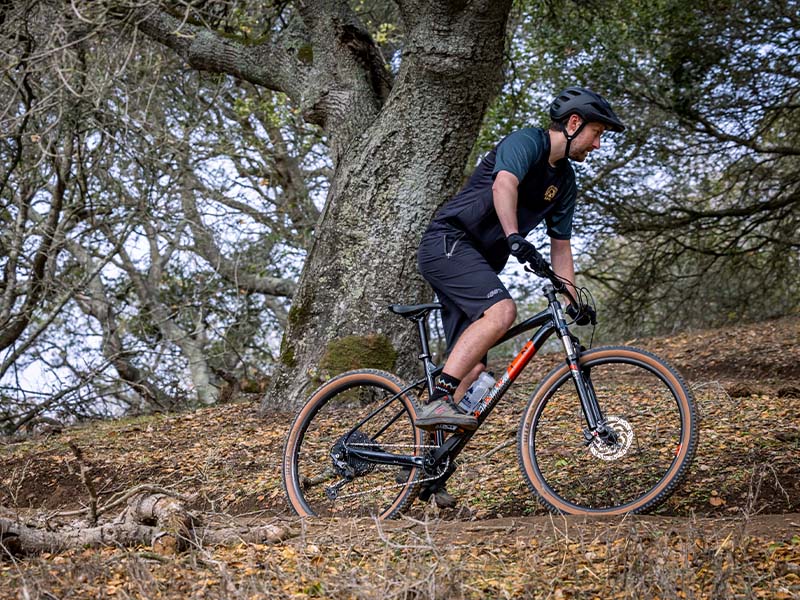 Rekomendasi Sepeda Gunung Trail 2025 | RODALINK INDONESIA