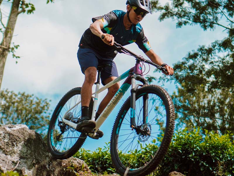 Sepeda Gunung Hardtail: Fungsi, Kelebihan, & Rekomendasi| RODALINK ...