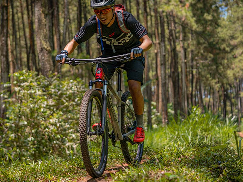Sepeda Gunung Hardtail: Fungsi, Kelebihan, & Rekomendasi| RODALINK ...