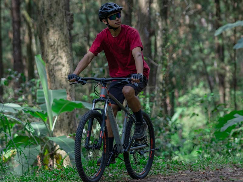 Rekomendasi Sepeda Gunung Harga Terjangkau 2024| RODALINK MALAYSIA