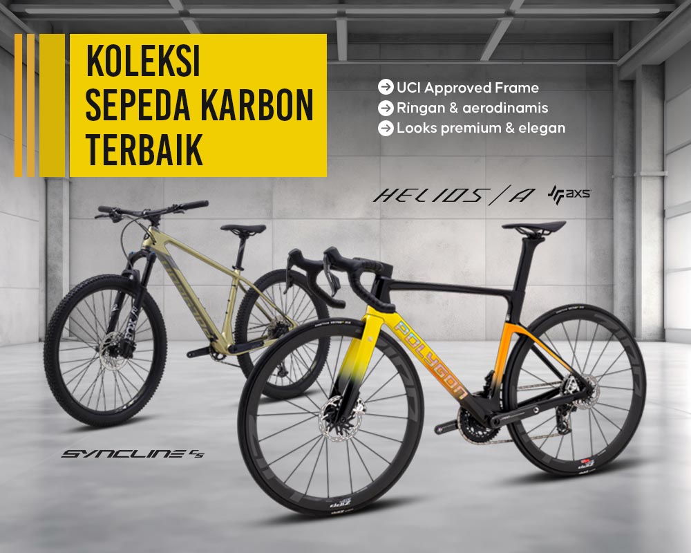 Koleksi Sepeda Karbon Terbaik | RODALINK INDONESIA