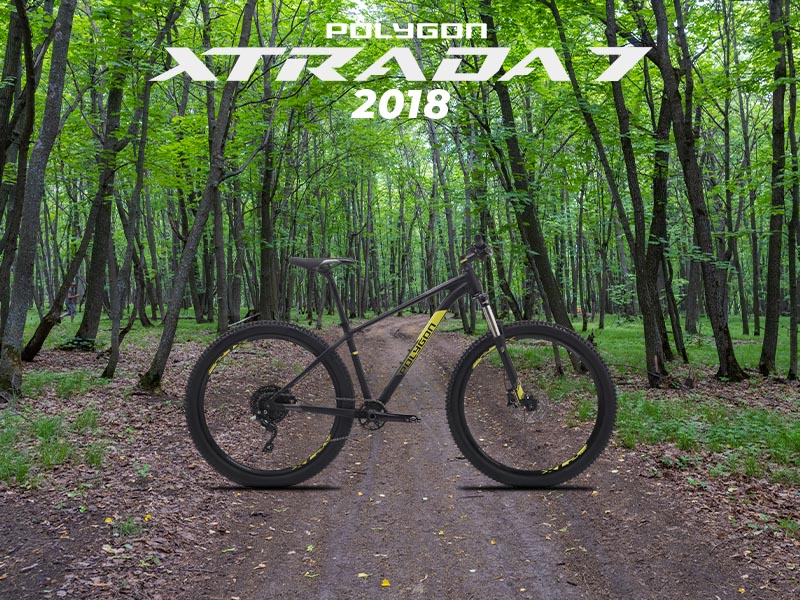 Panduan Lengkap Memilih Ukuran Sepeda Gunung Tepat | RODALINK INDONESIA