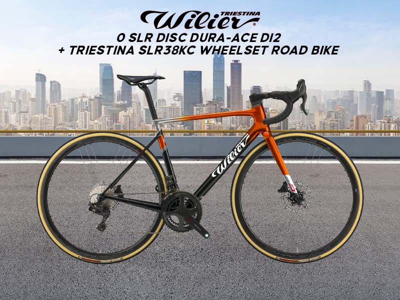 5 Best Road Bikes of 2024 for Ultimate Cycling Thrills | RODALINK SINGAPORE