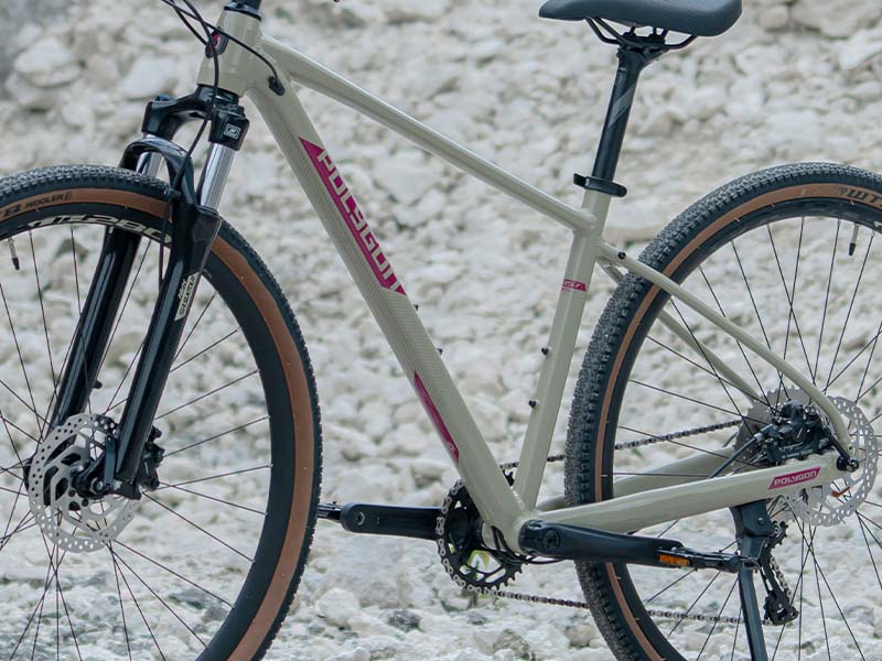 101 Hybrid Bike: All You Need to Know | RODALINK SINGAPORE