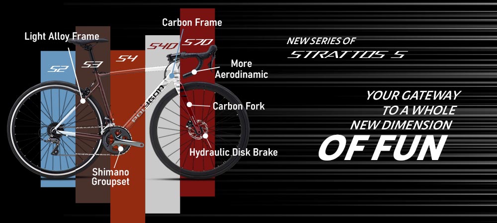 Discover the New Polygon Strattos Road Bike Series | RODALINK SINGAPORE