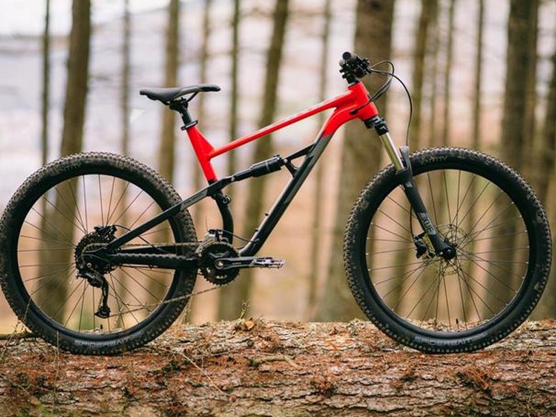 The Best Mountain Bike Trails in SG | RODALINK SINGAPORE