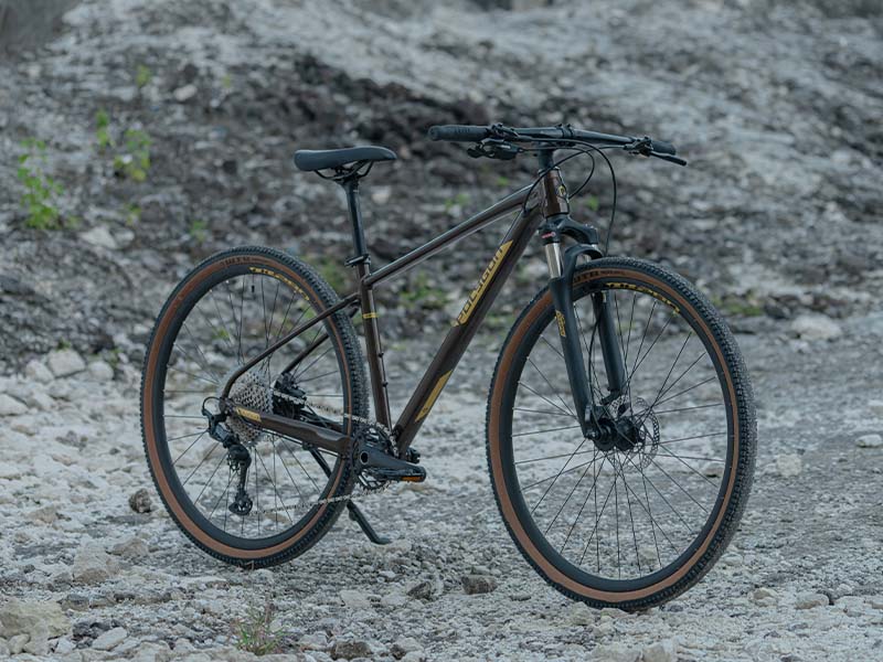 Semua yang Perlu Diketahui Tentang Sepeda Hybrid | RODALINK INDONESIA