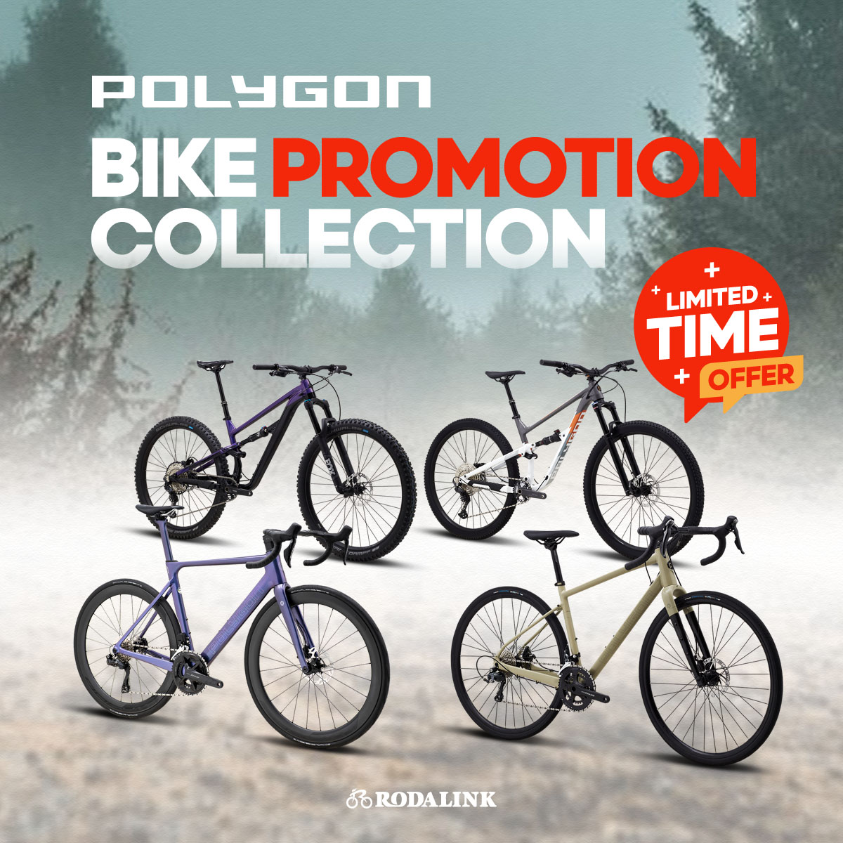 Push Bike 101: Everything You Must Know | RODALINK MALAYSIA